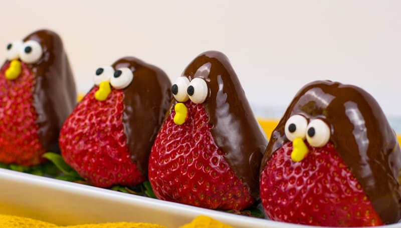 Bird Dipped Chocolate Covered Strawberries Recipe - Sweet Pea's Kitchen