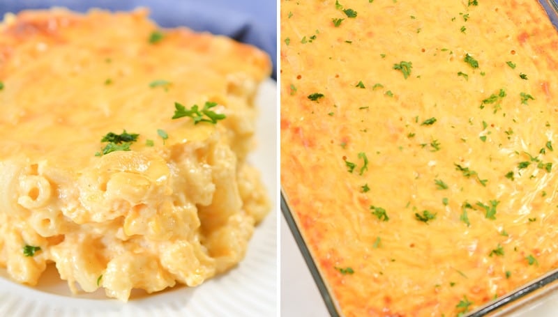 Ooey Gooey Mac And Cheese Sweet Pea S Kitchen